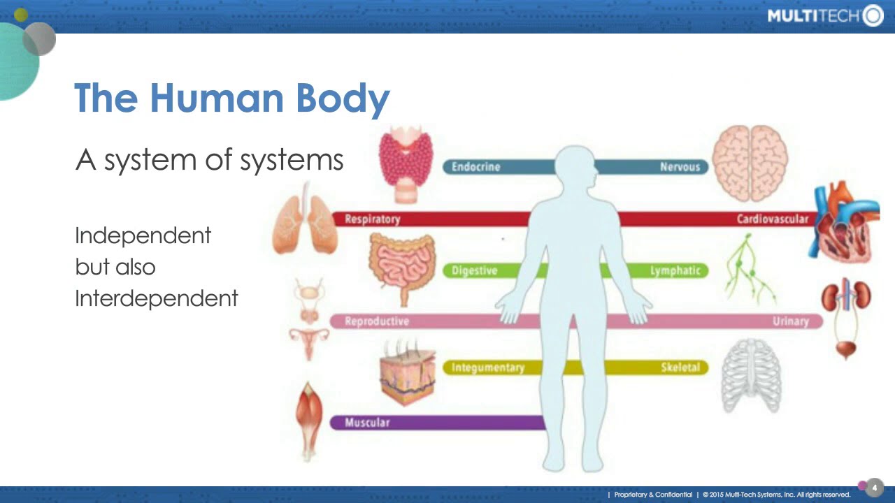 Smart Building as a Body: the Ultimate Systems of Systems - YouTube