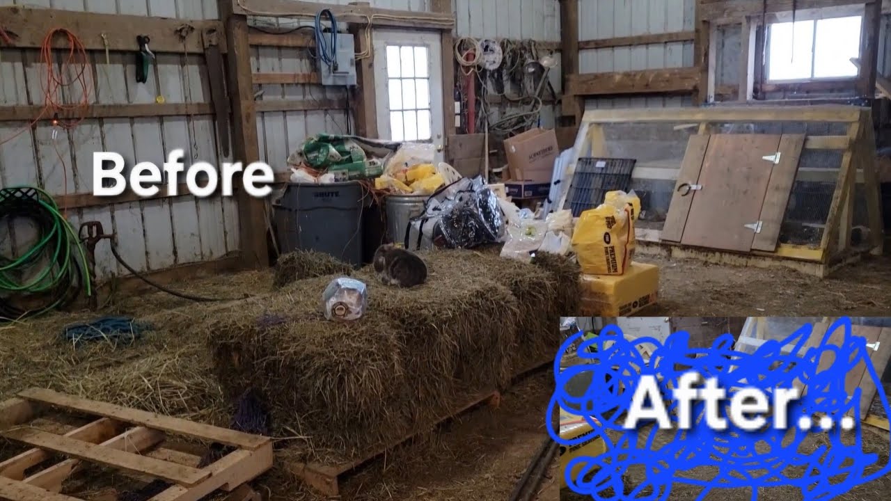 Cleaning Up the Horse and Donkey Barn! - YouTube