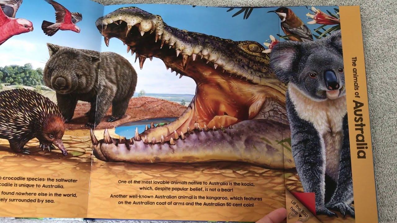 Discover the Animals of the World - Garry Fleming - YouTube