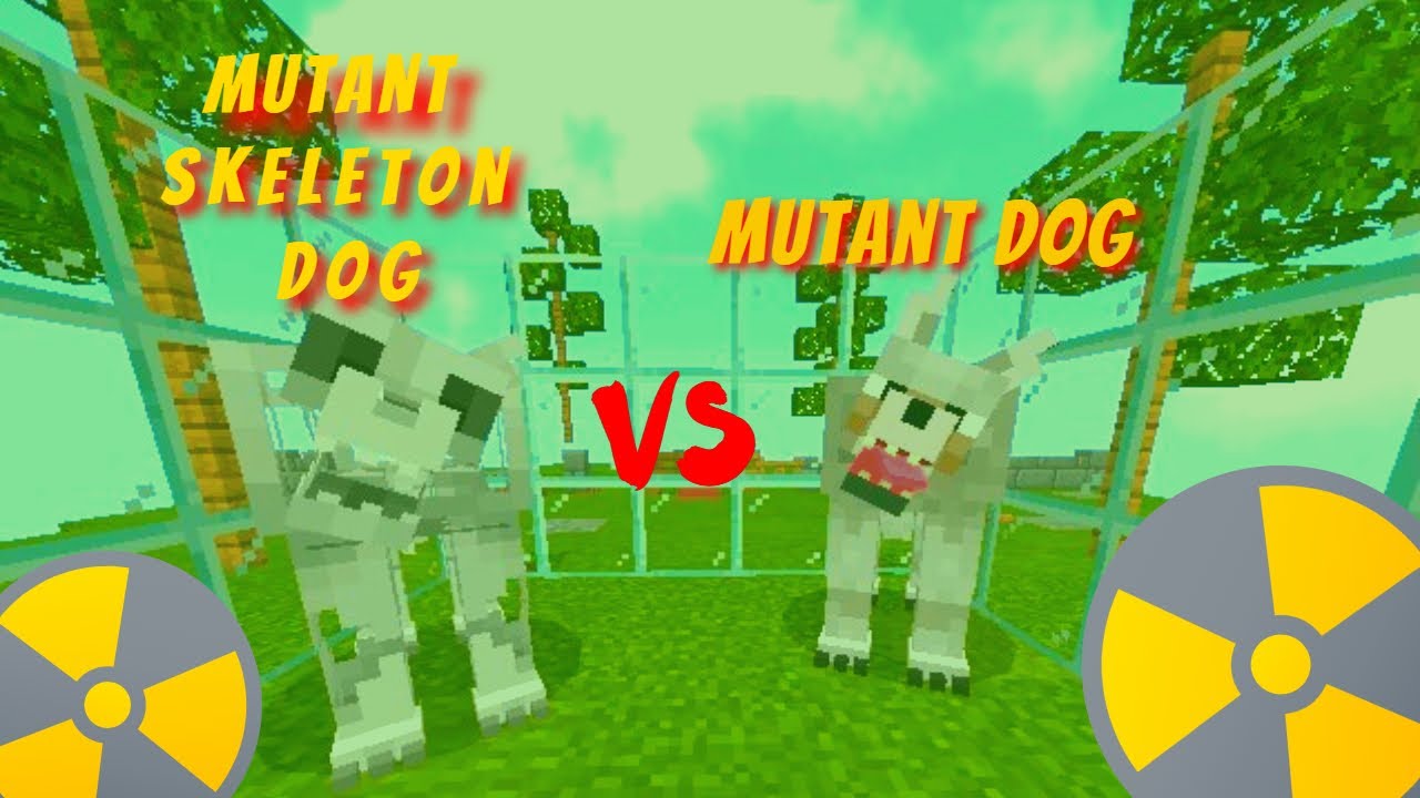 Mutant Skeleton Dog VS Mutant Dog in Minecraft! - YouTube