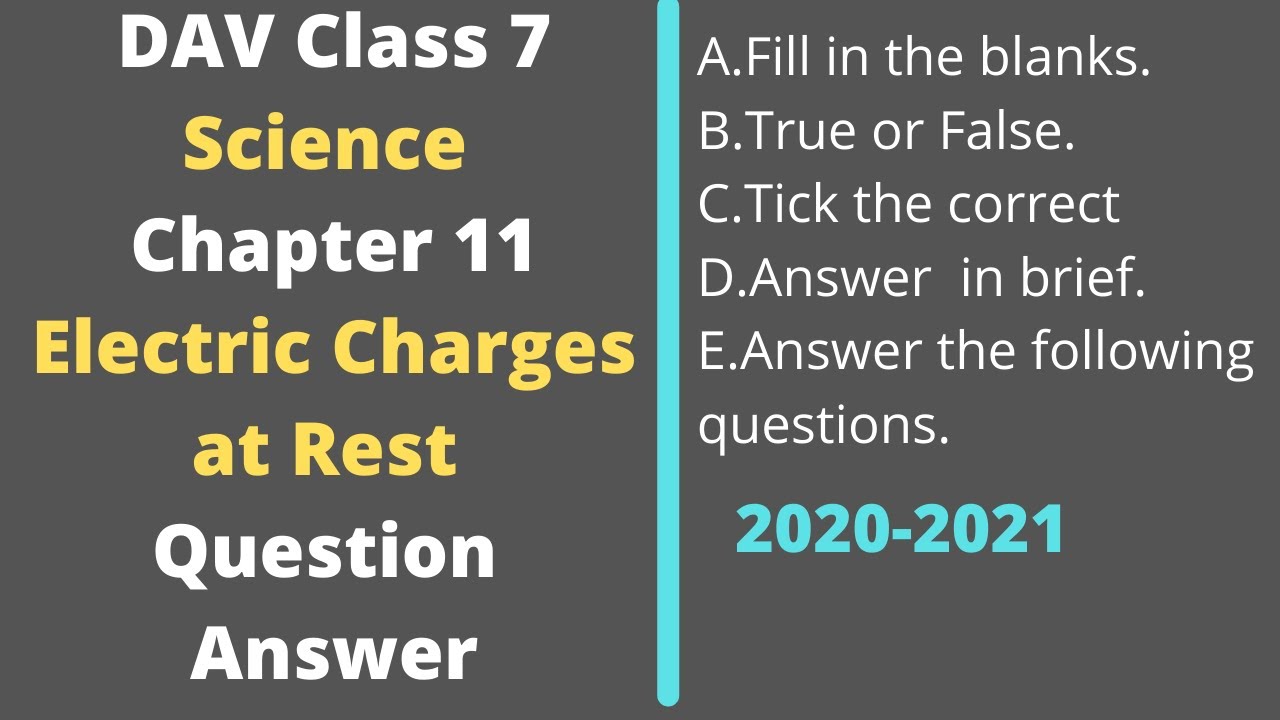 DAV Class 7 Science Chapter 11 Question Answer - YouTube