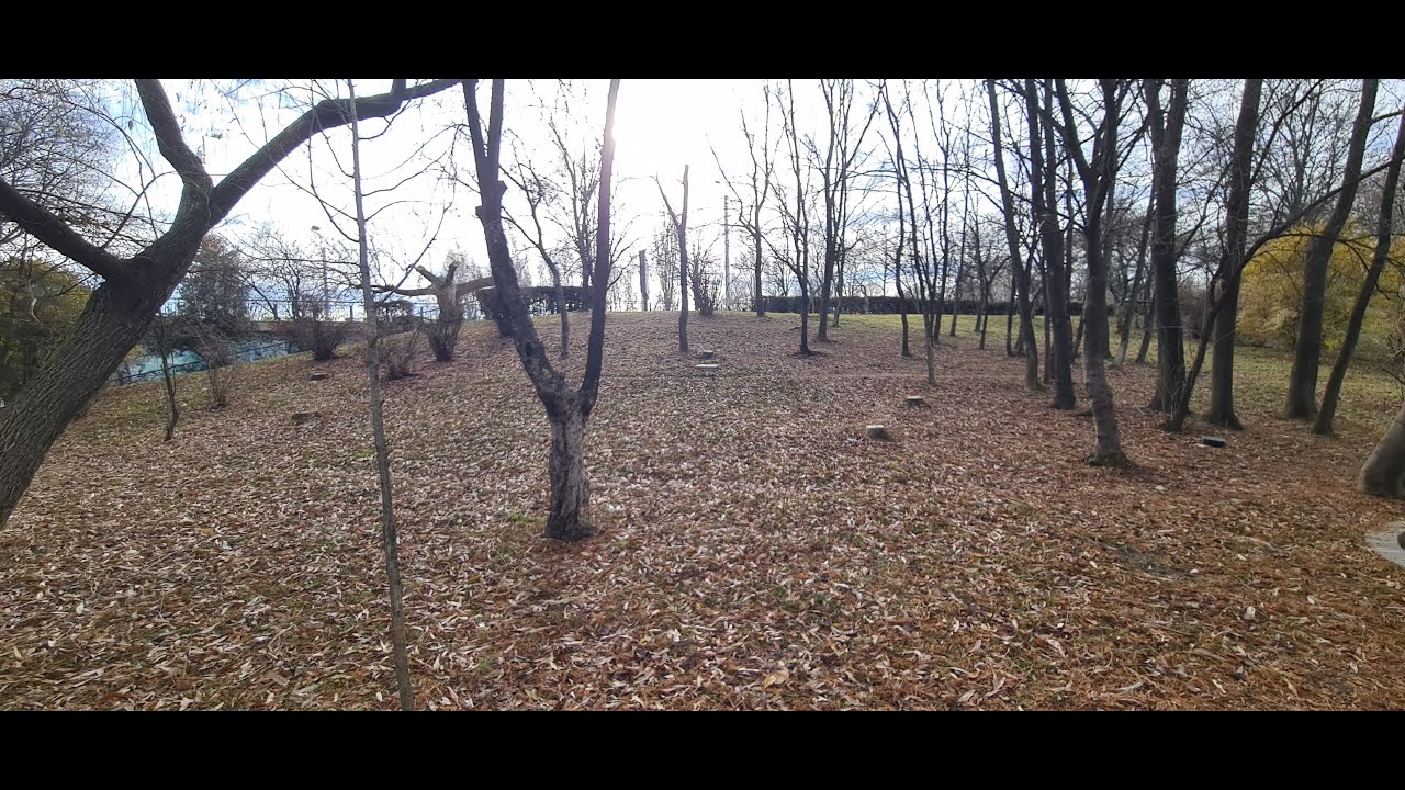 @PrimariaSectorului3 TAIERE LA RAS DEFRISARE PARC IOR ...