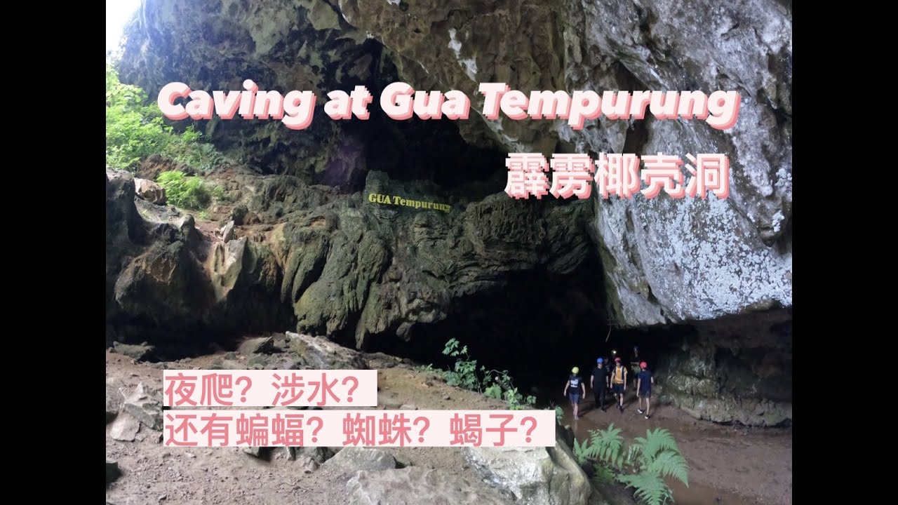 Caving at Gua Tempurung, Perak 霹靂椰殼洞探險記 - YouTube