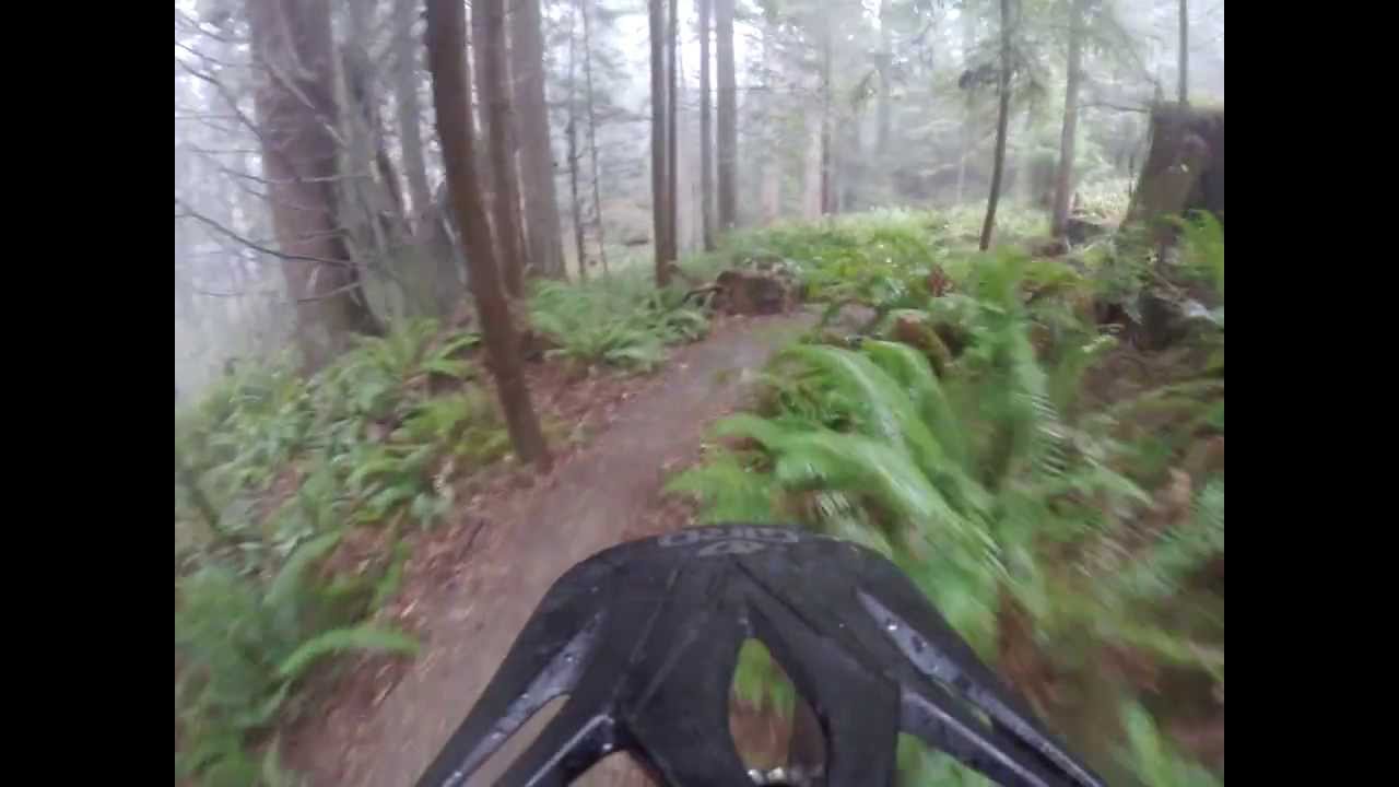 Arcata Community Forest Redwood downhill Trail Nectar - YouTube