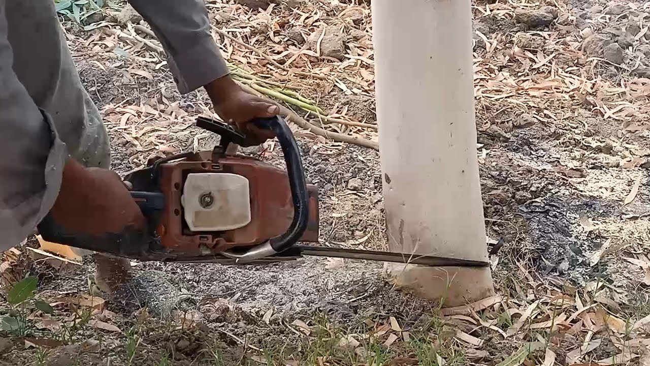 Cutter Machine | New technology | New Machine | Trees cutter Machine ...