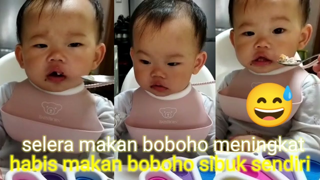 Selera makan boboho meningkat !!! Habis makan boboho sibuk sendiri 😂 ...