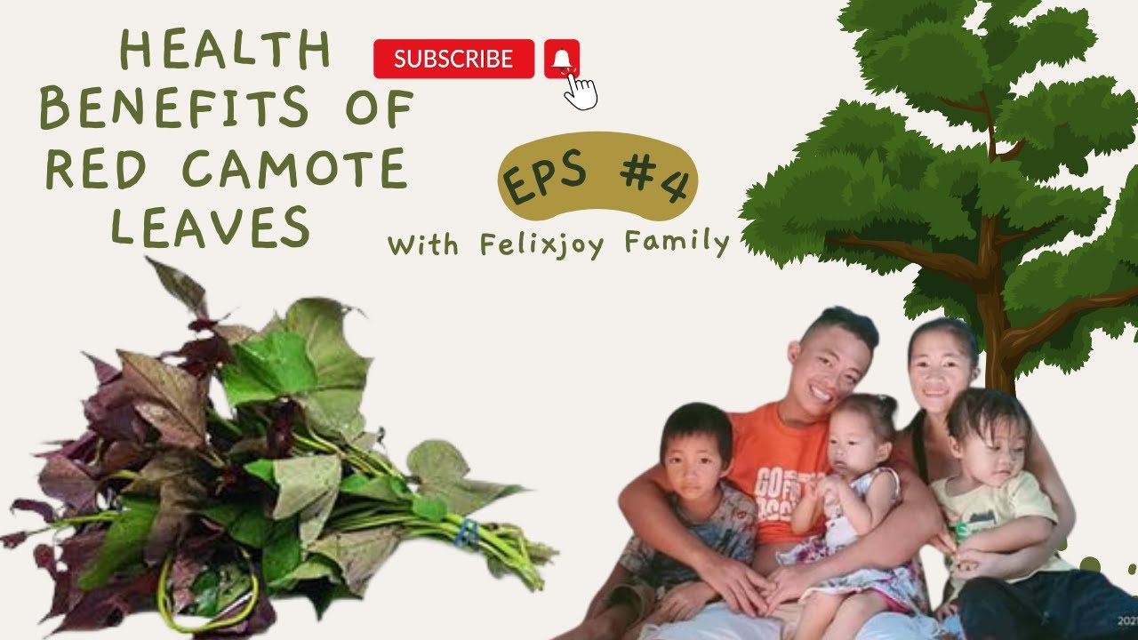 Health Benefits of Red Camote tops - YouTube