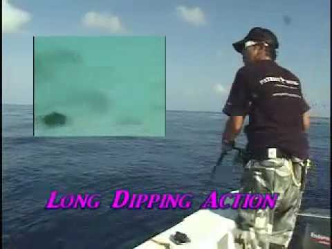 PATRIOT DESIGN ( GT&TUNA lure action ) www.patriot-design.com - YouTube