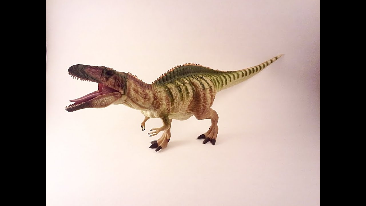 Deluxe Acrocathosaurus by CollectA- Model Review - YouTube
