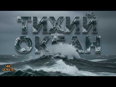 Тихий океан. Пульс Тёмных глубин - 1 серия  | WILD EARTH  | Документальный фильм о дикой природе