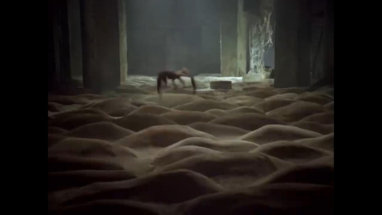 Stalker Bird Anomaly - Stalker (1979) - YouTube