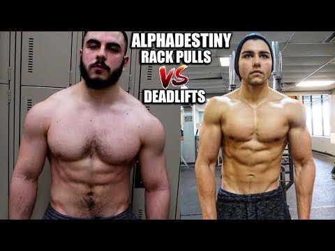 NATURAL BODY TRANSFORMATION | BEAR MODE TO AESTHETIC - YouTube
