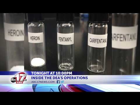 Special Report Inside the DEA's Operations