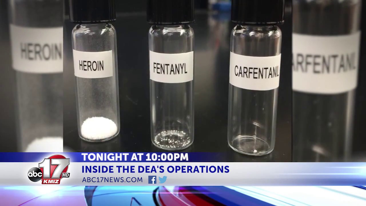 Special Report Inside the DEA's Operations - YouTube