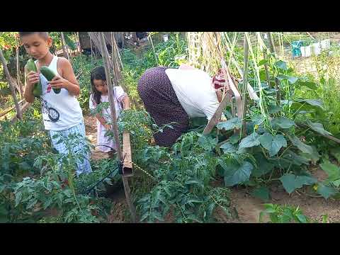 KALP RİTMİ HIZLANIYOR BÖYLE YERLERDE EKİP EKMEDİĞİM NE VARSA HEPSİ ÇOK DEGERLİ SEMİZ OTU TURŞUSU ‼️