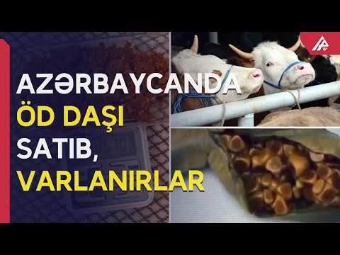Azərbaycanda öd daşı niyə qızıl qiymətinədir? - Qəssabların gizli saxladığı biznes - APA TV