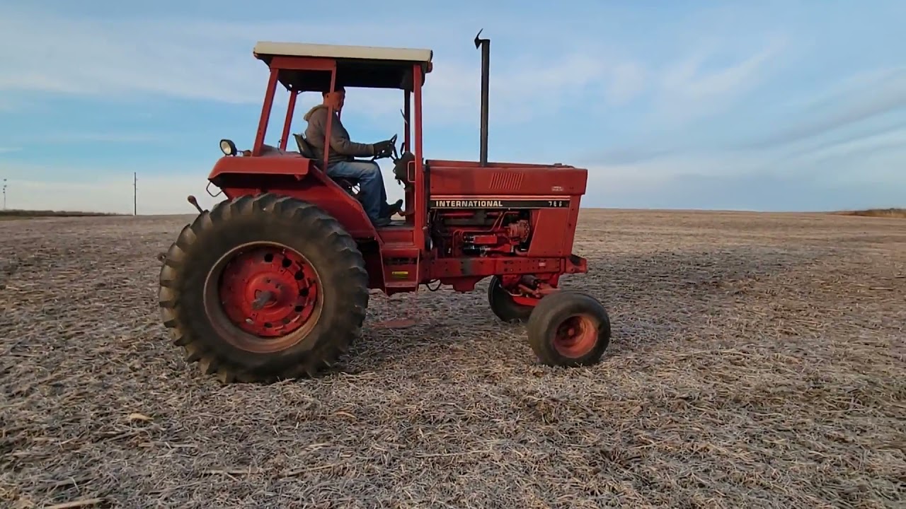 1980 INTERNATIONAL 786 For Sale - YouTube