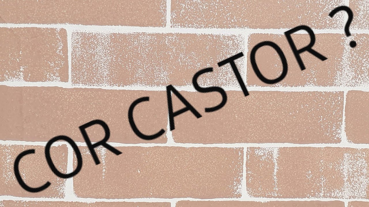 COMO FAZER A COR CASTOR CASEIRA-APRENDA E FAÇA VC MESMO - YouTube