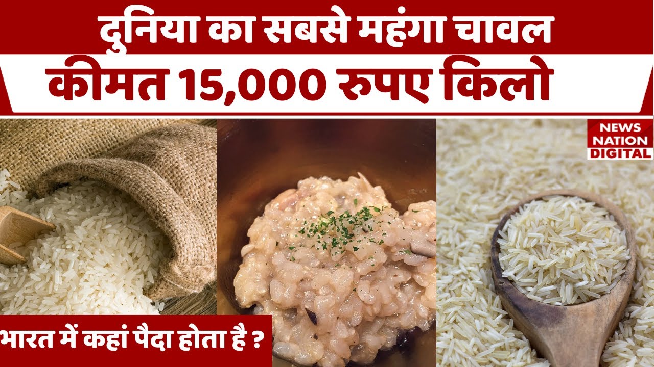 Most Expensive Rice: दुनिया के सबसे महंगे चावल का दाम जान हैरान रह ...
