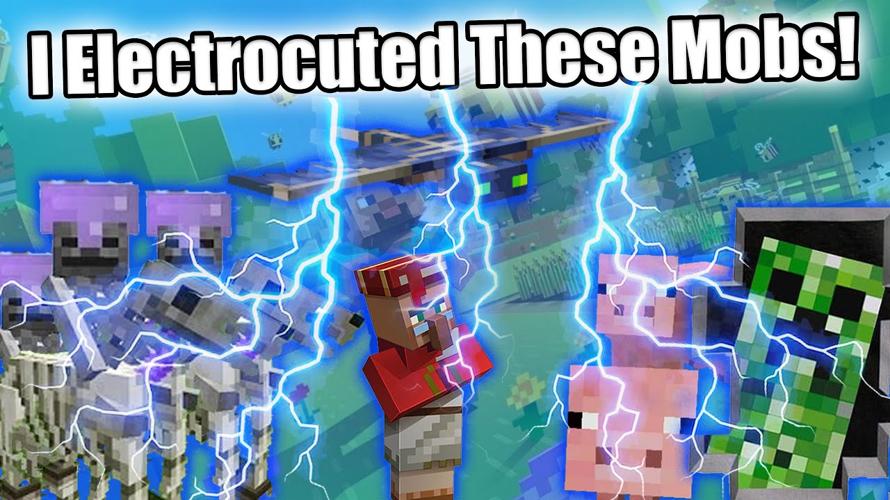 Minecraft Mob Electrocution Test – Surprising Reactions Revealed! - YouTube
