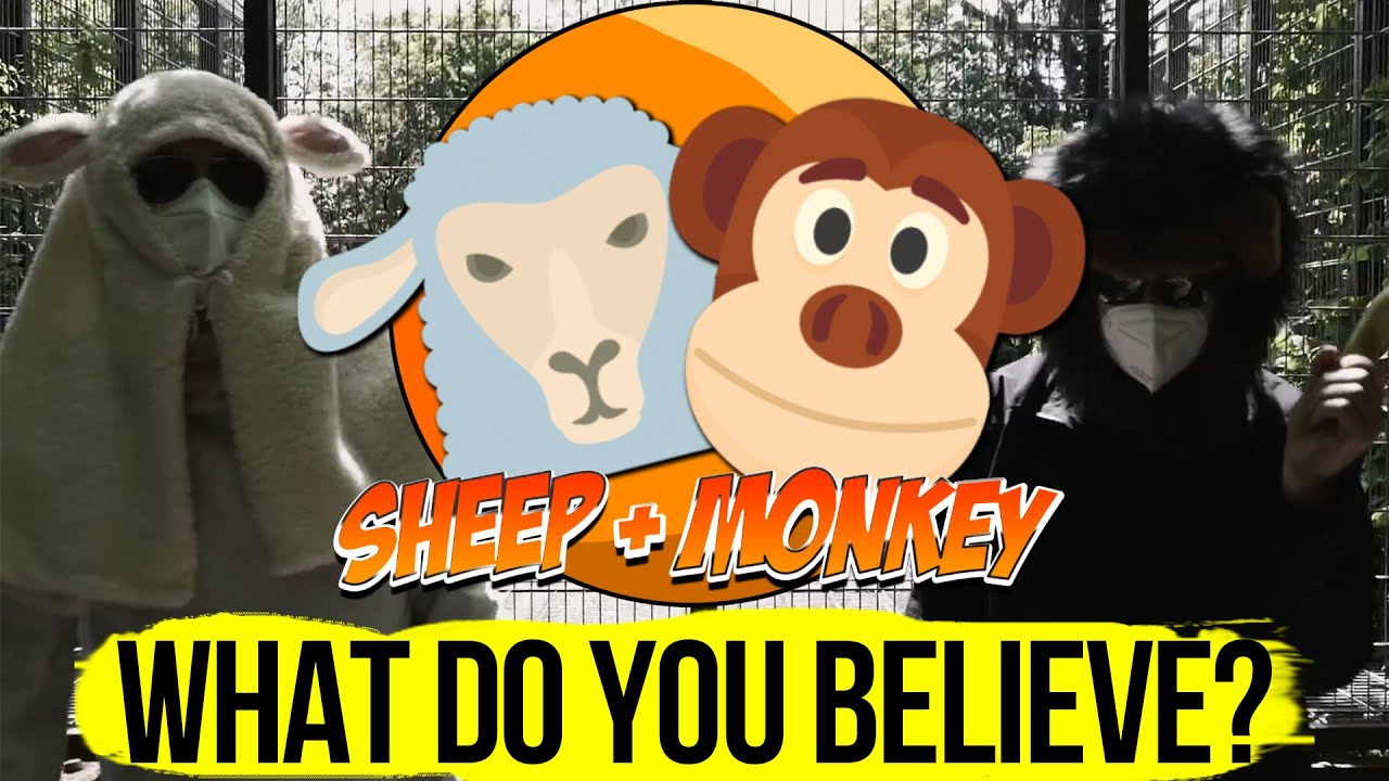 🐑🐵 Sheep + Monkey - What do you believe - YouTube