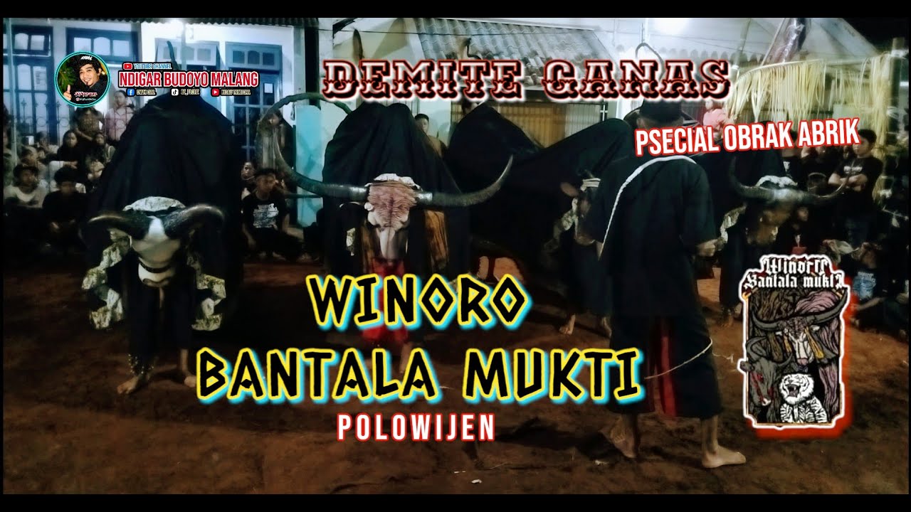 Full Atraksi‼️BAR BAR,,, main 'SEREM' bantengan Winoro Bantala Mukti - Polowijen || live ...