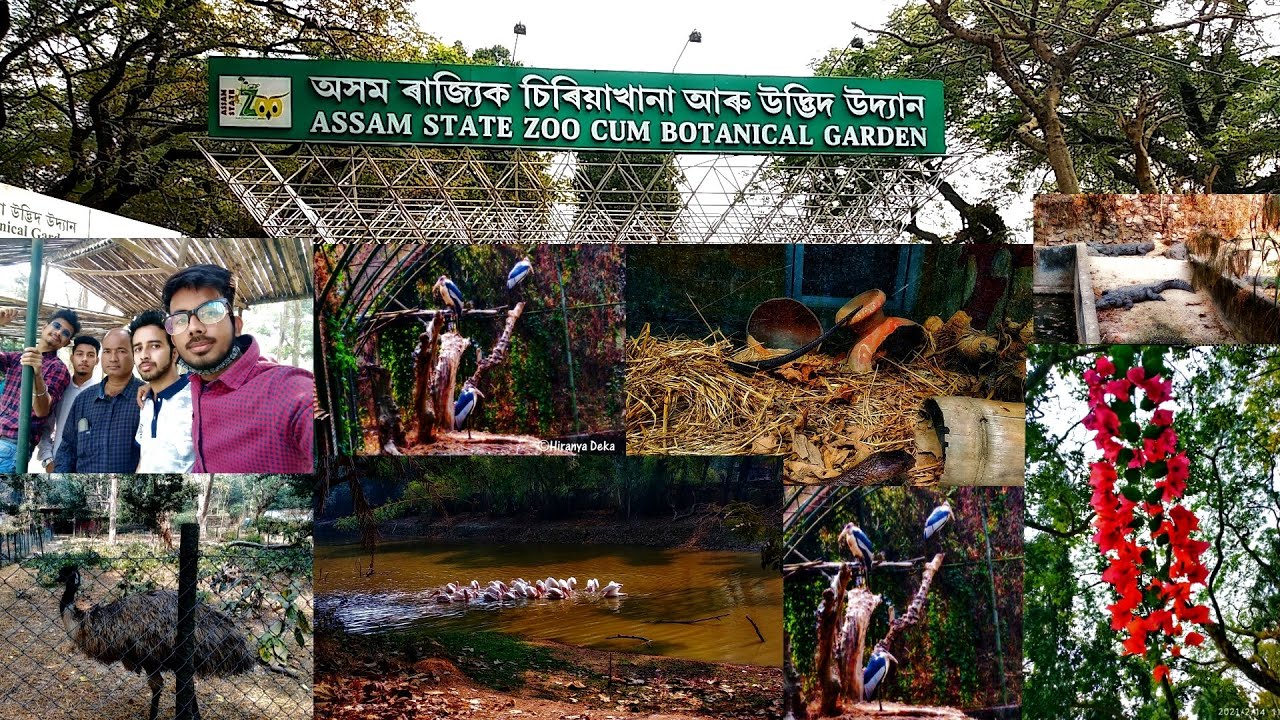 Visit with friends ||Assam State Zoo cum Botanical Garden|| - YouTube