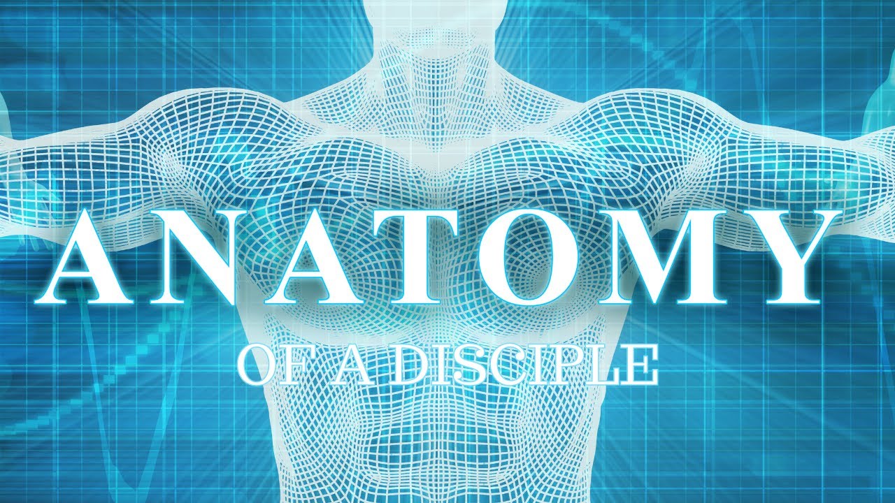 Anatomy of a Disciple: The Growing Process - YouTube