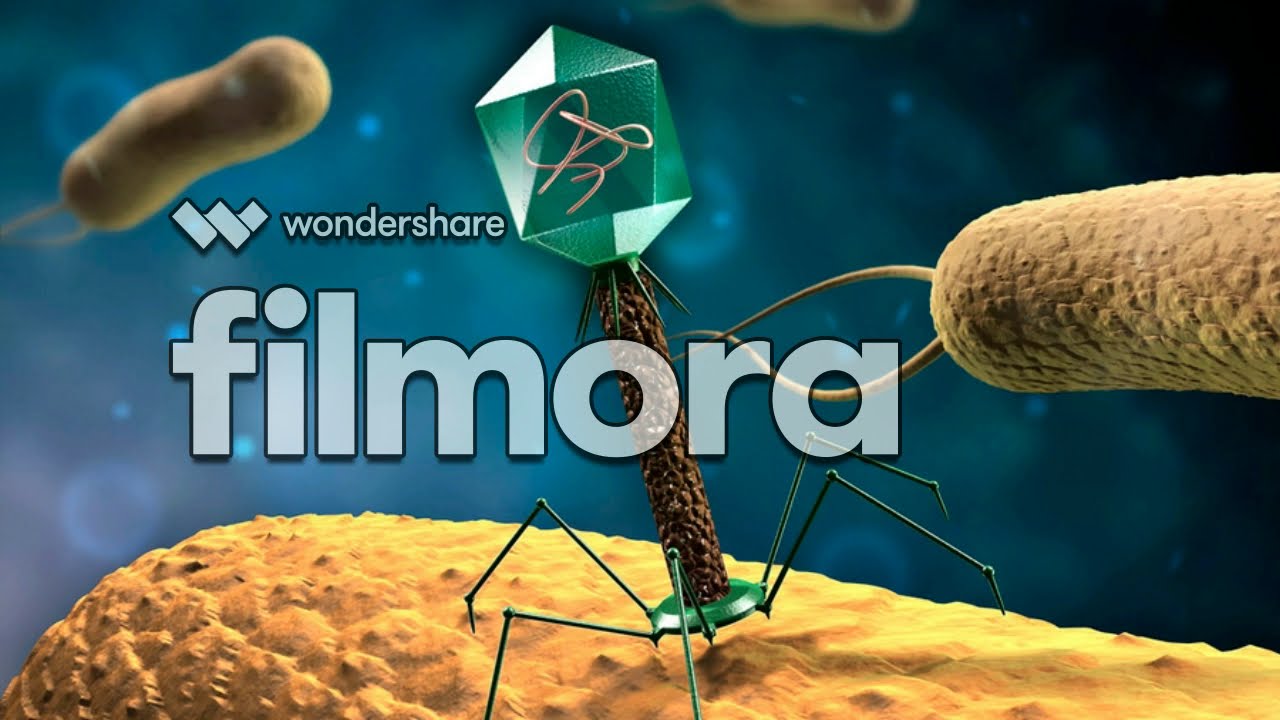 Bacteriófago T2 - YouTube