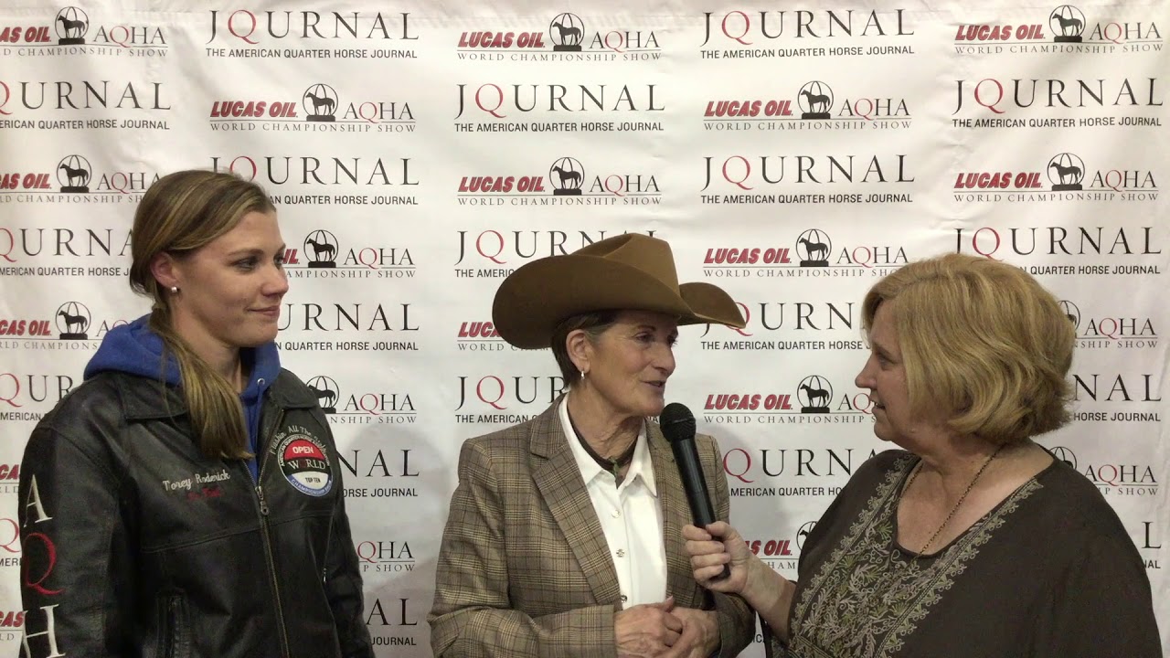 2018 AQHA Performance Halter Stallions - YouTube