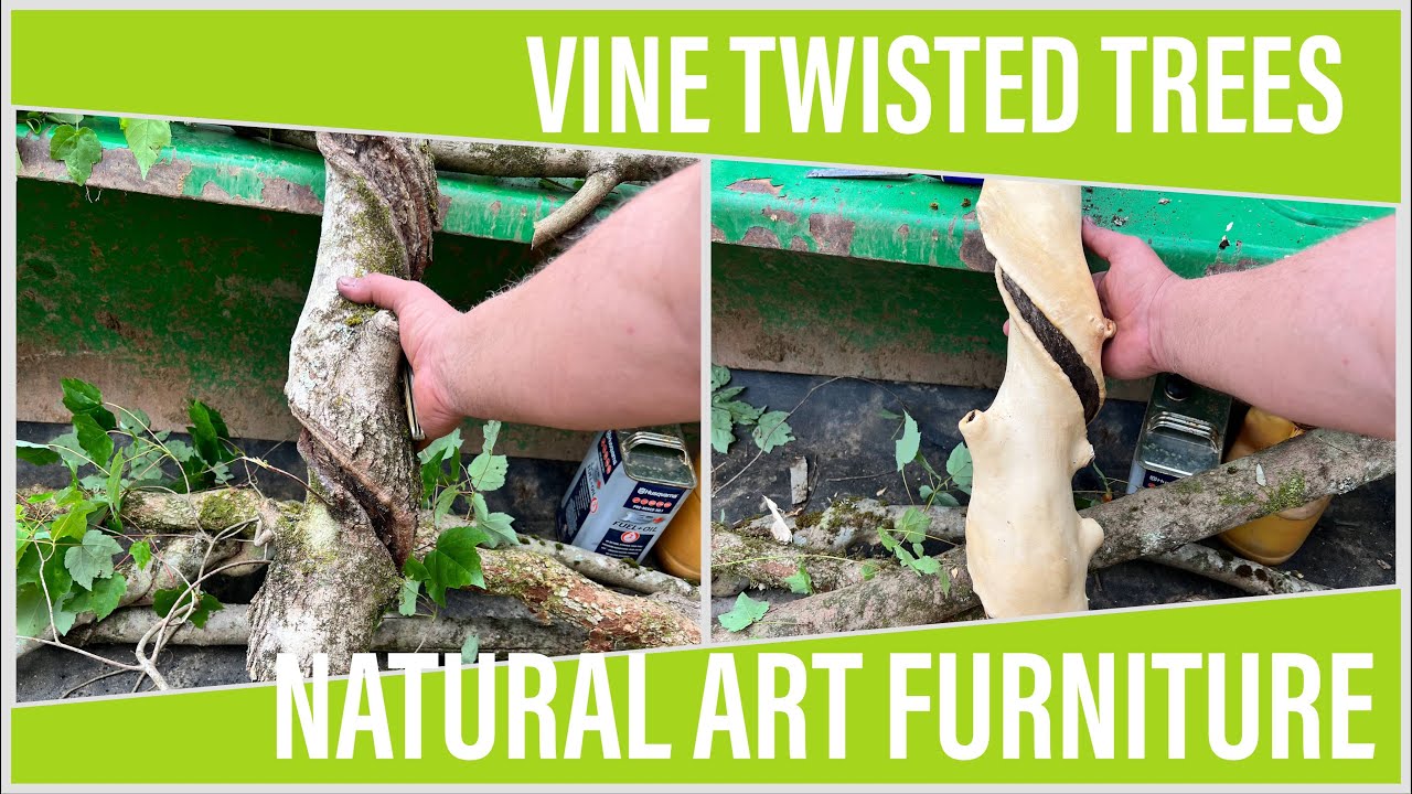 Vine Twisted Trees Into Natural Furniture Art - YouTube