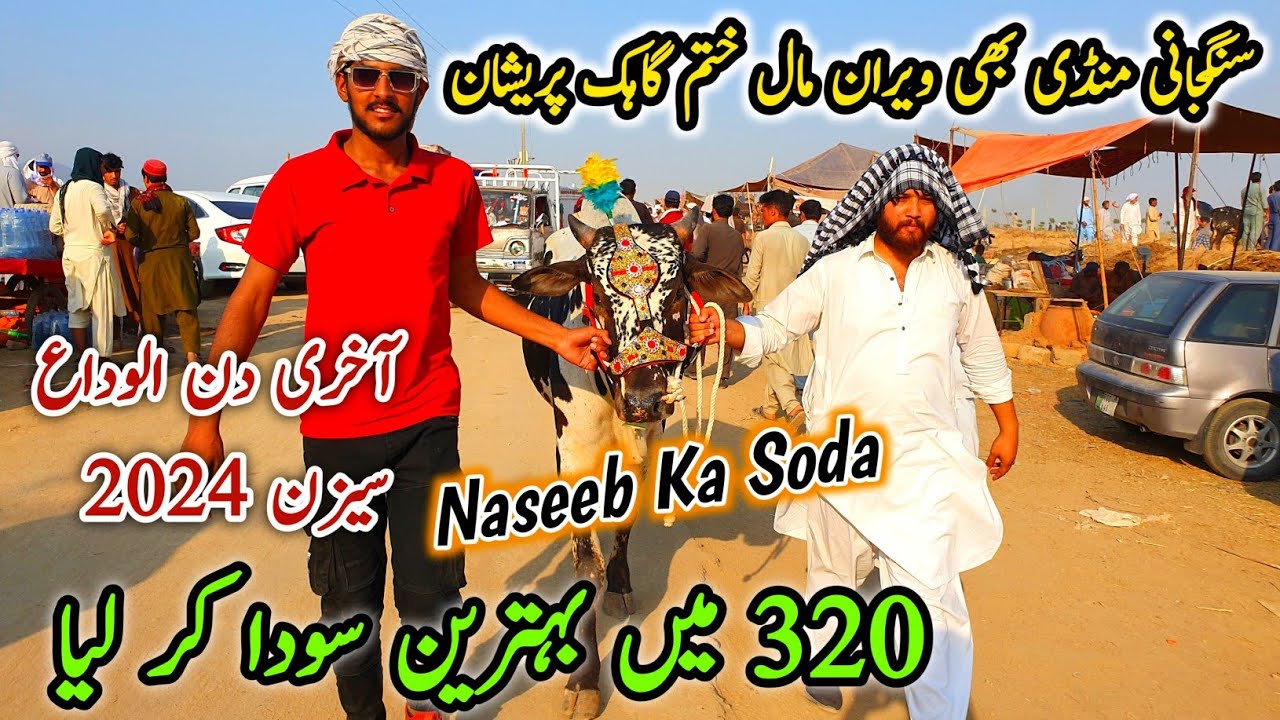 Last Day_Sangjani Mandi Islamabad Update 16 June 2024 | Naseeb K Sody ...