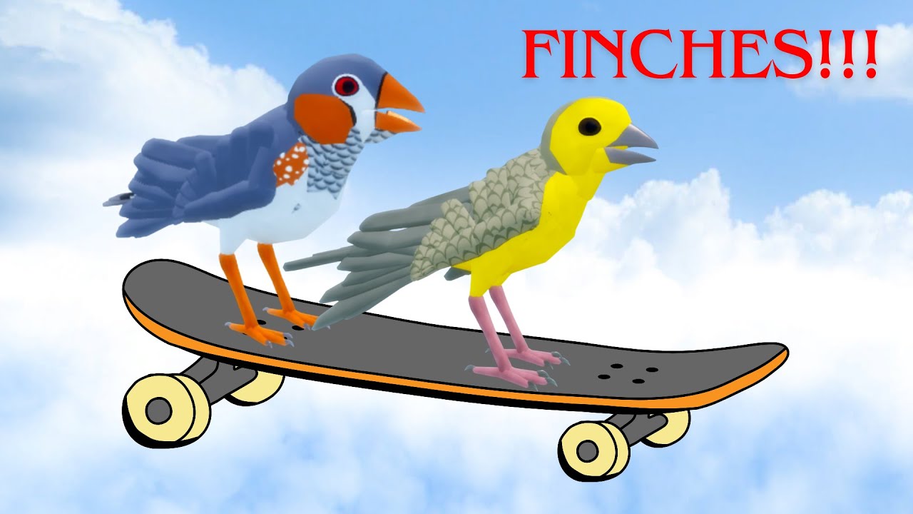 Feather Family | New Finches! - YouTube