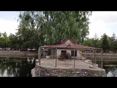 Büyük havuz.havuzun ortasında ne var?görebiliyormusunuz.Kuğulu park.Tavus kuşu.