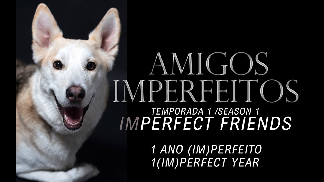 AMIGOS IMPERFEITOS - IMPERFECT FRIENDS - 1 YEAR CELEBRATION - YouTube