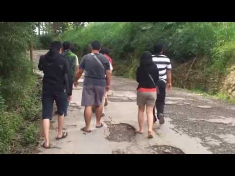 Peternakan Sapi Perah Erif Farm, Cisarua, Indonesia - YouTube