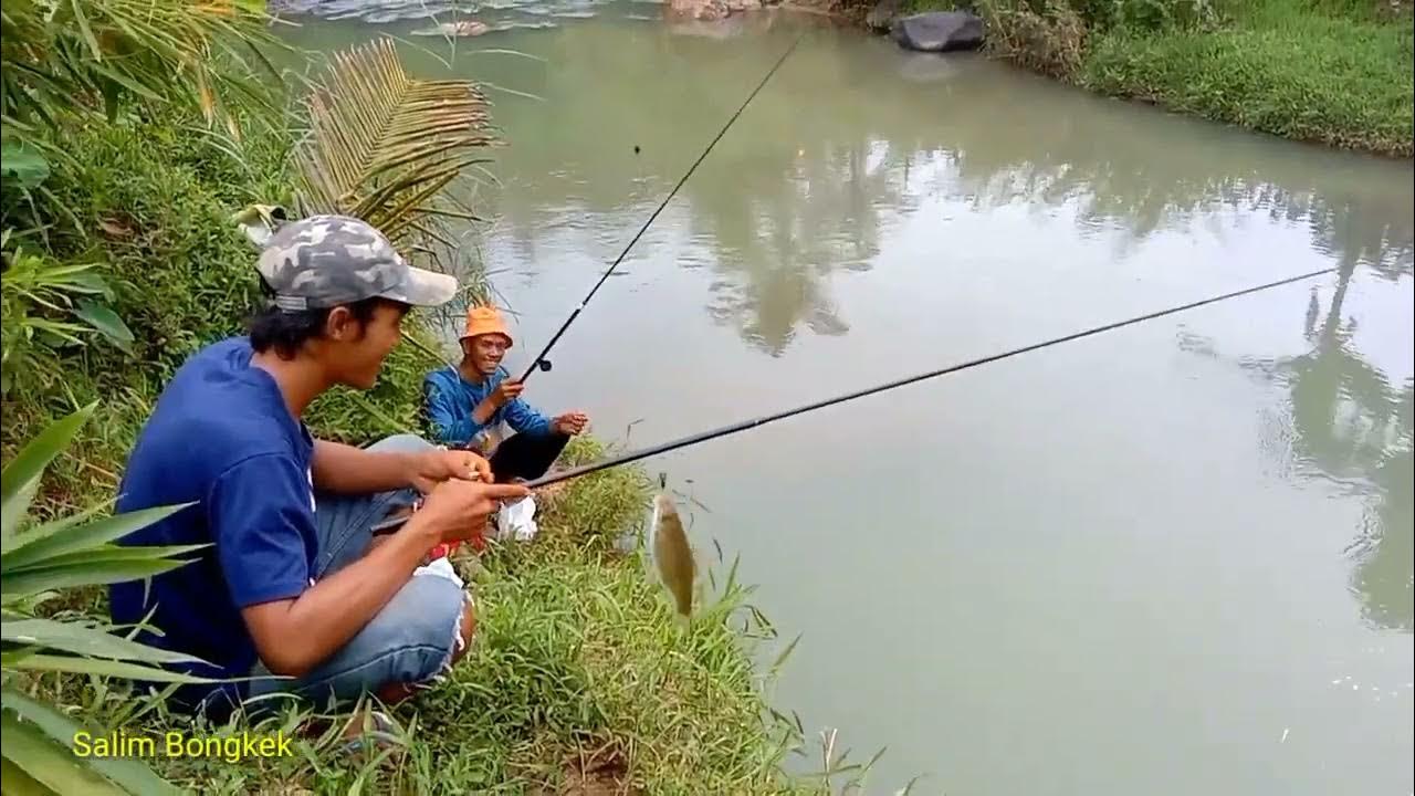 REJEKI NOMPLOK !! mancing ikan nilem strike bertubi-tubi - YouTube