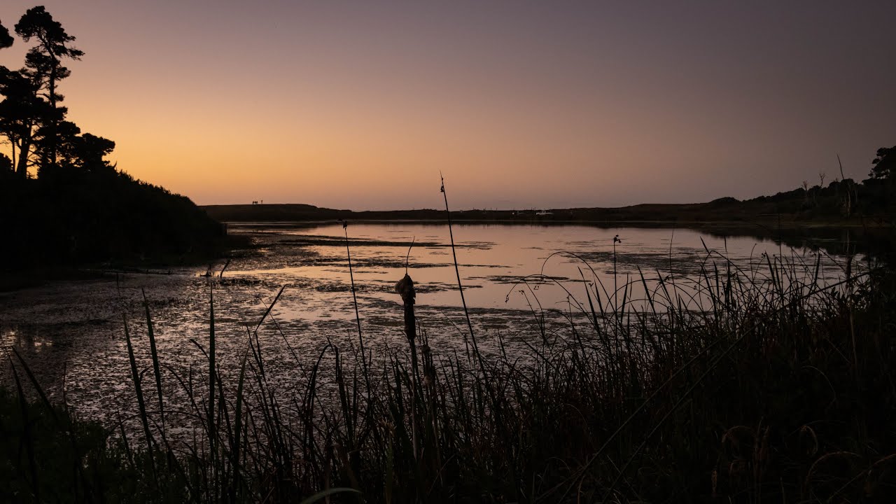 Lake Cleone Loop at Mackerricher State Park October 13th 2020 Virtual ...