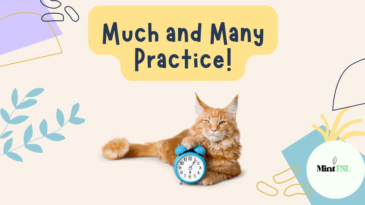 Much and Many Practice | English For Kids | ESL - YouTube