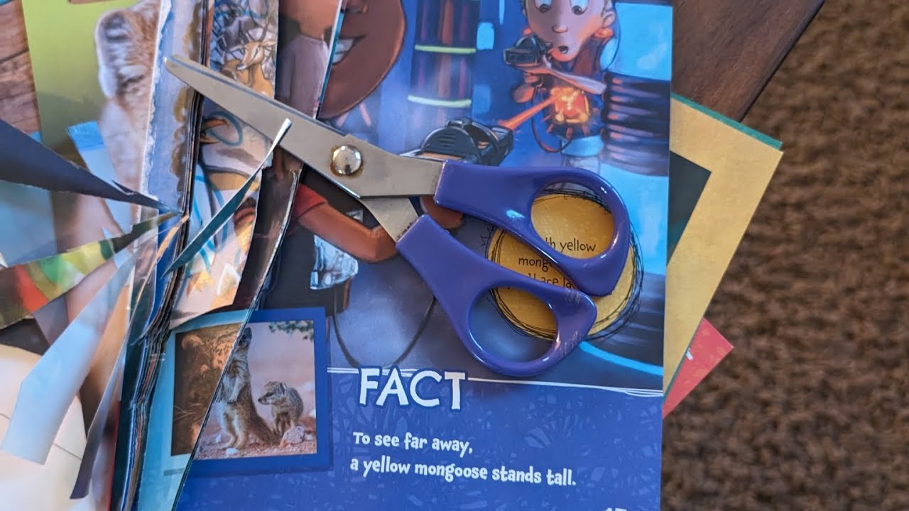 destroying a book 📚 - YouTube