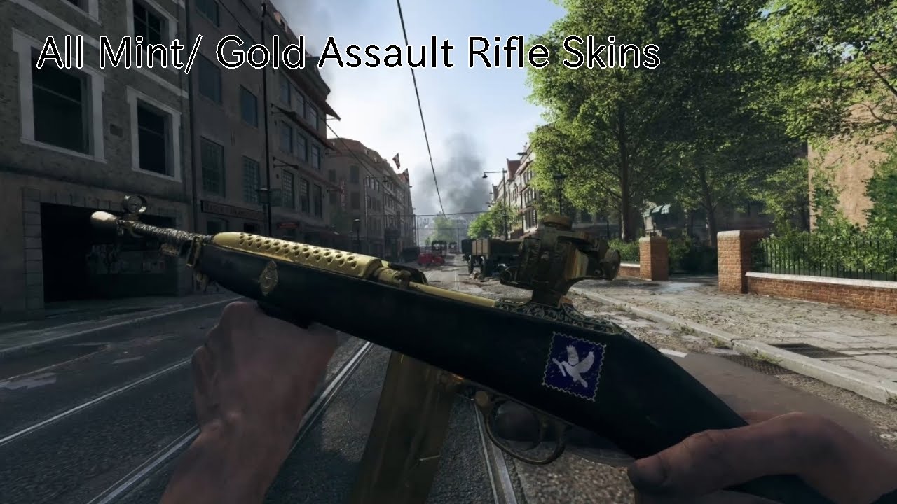 [BFV] All Mint/ Gold Assault Rifle Skins - YouTube
