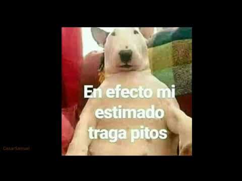 En efecto mi estimado - YouTube