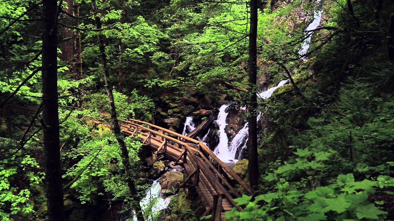 Rodney Falls, Washington: 1 Hour of Nature Sounds: Relaxing Nature ...