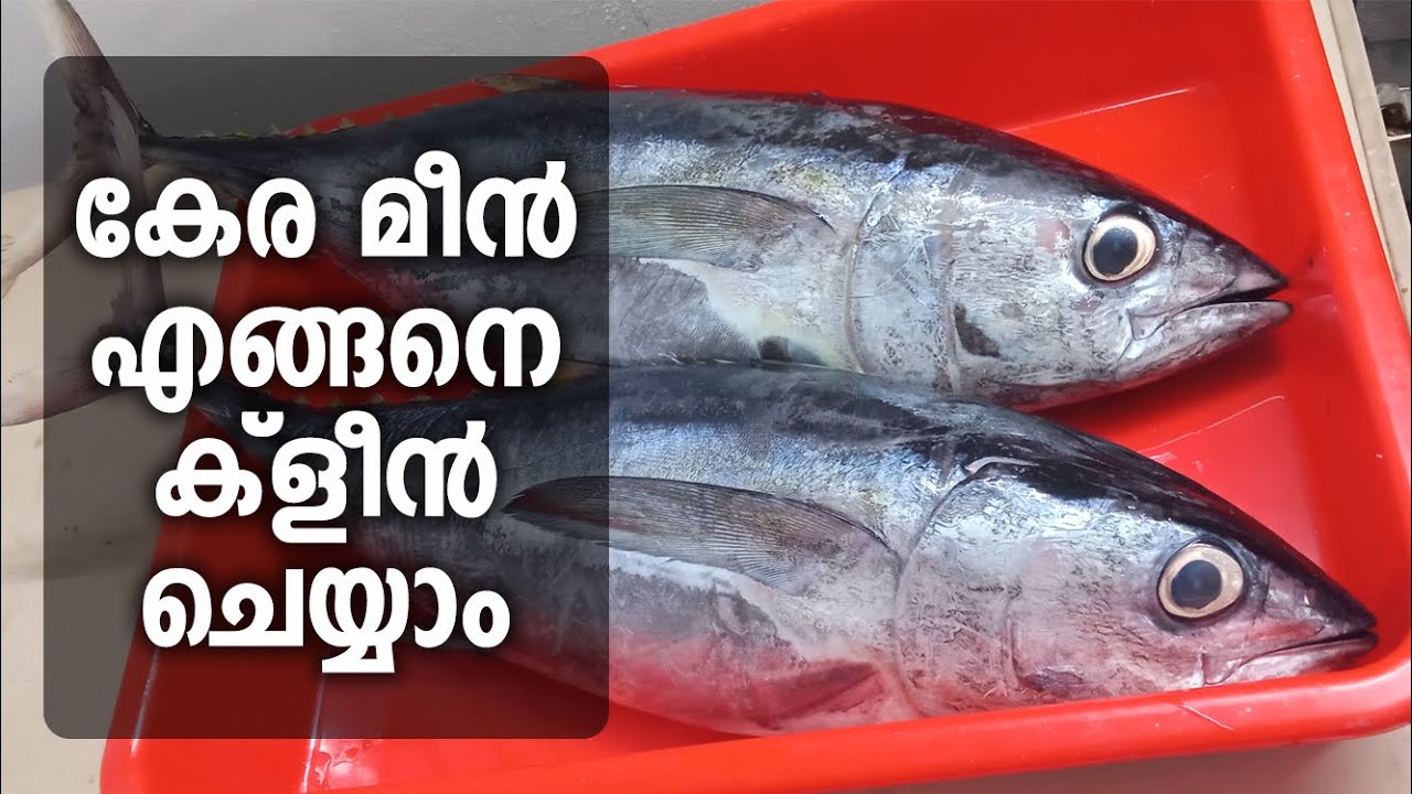 How to clean Kera fish - കേര മീൻ എങ്ങനെ ക്ളീൻ ചെയ്യാം - YouTube