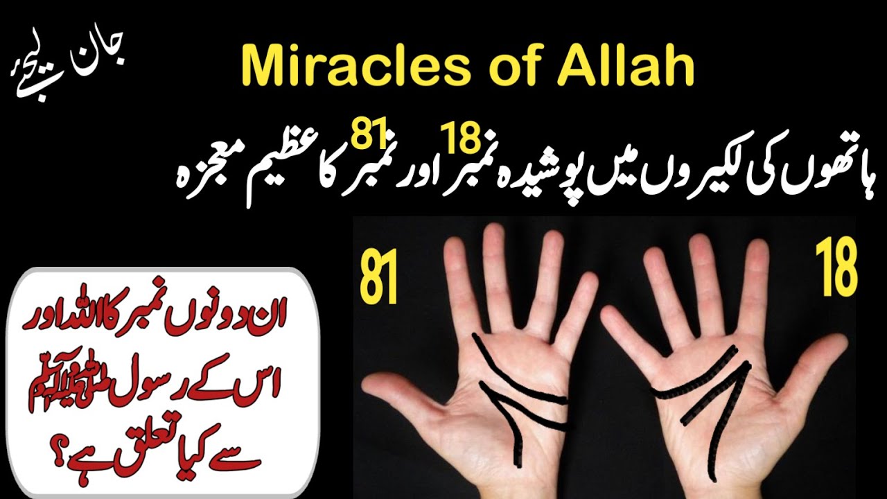 Islam | The Secret Numerical Miracles Of Allah On Palm of Hands Will Shock You | # ...