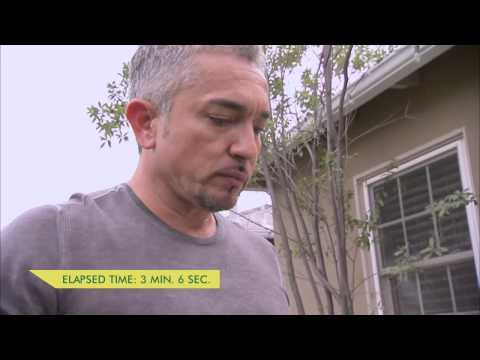 Köpeklere fısıldayan adam ısırıldı (Cesar Millan)
