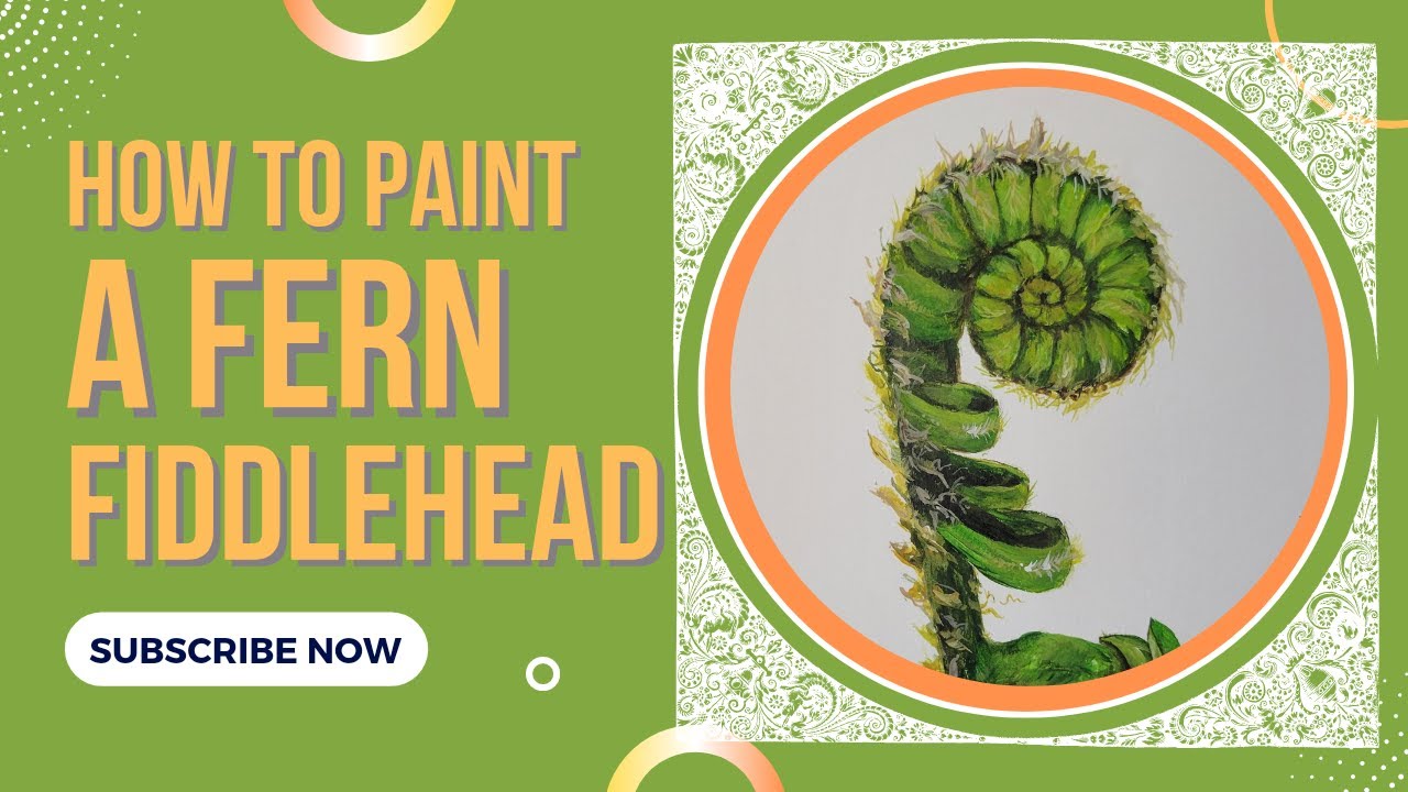 Fiddlehead Fern Drawing