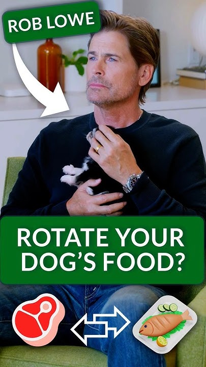 Should You Feed Your Dog the Same Food Every Day? Rob Lowe Answers Right = Puppy Cuddles! - YouTube