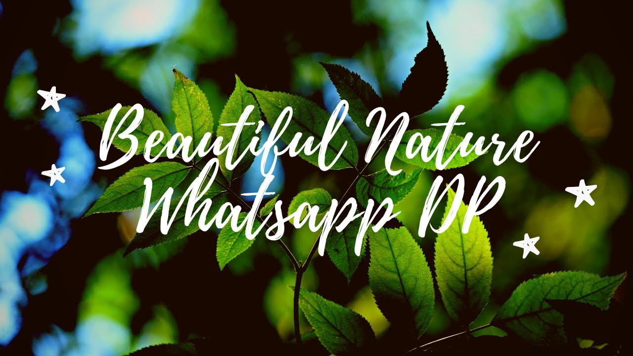 Beautiful Nature DPs images for whatsapp dp - YouTube
