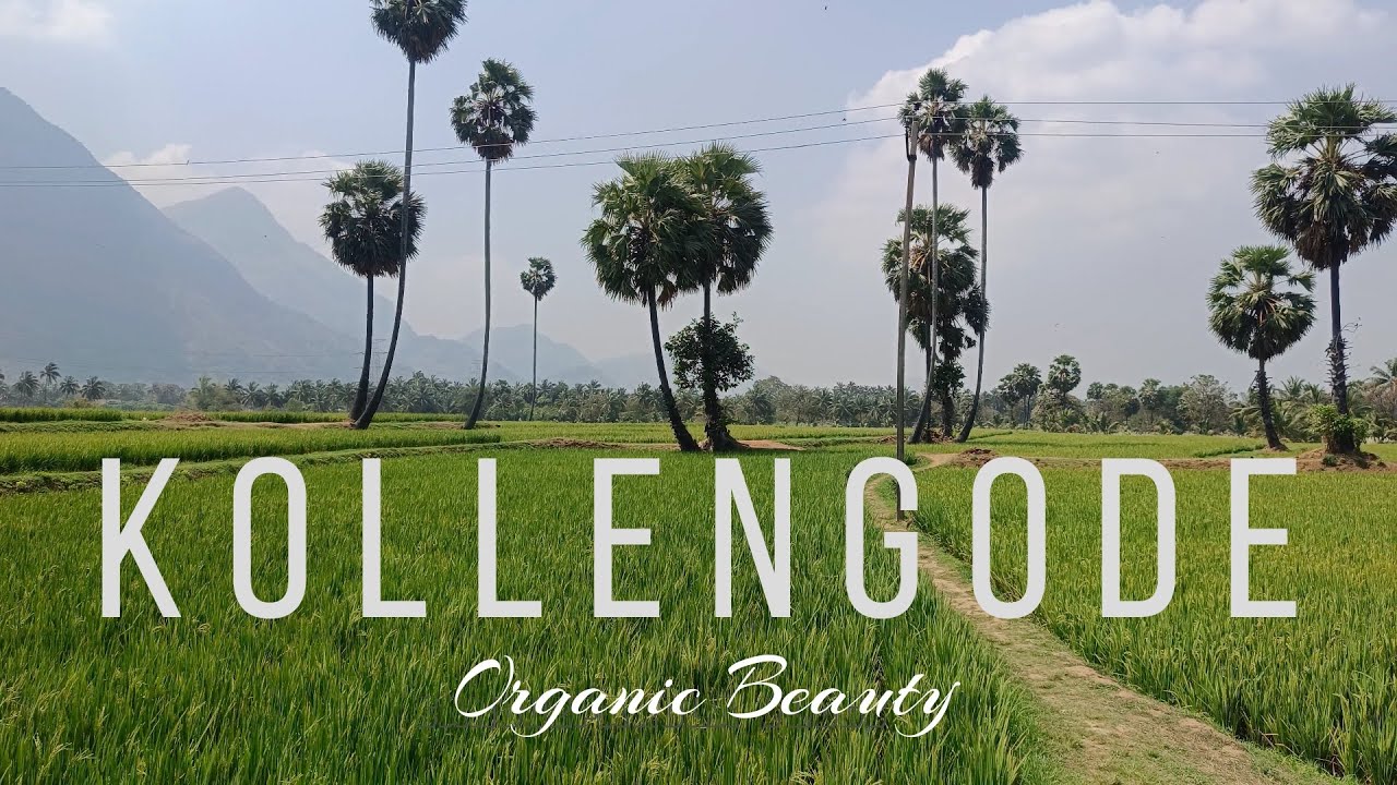 Kollengode | One of the most beautiful Indian Village | Exicting Vlog ...